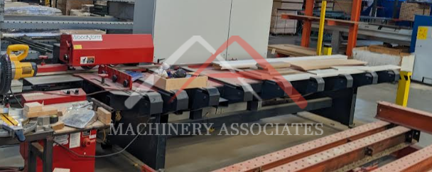 WOODSTORM LS-100 INFEED AND MR-SL OUTFEED CONVEYORS